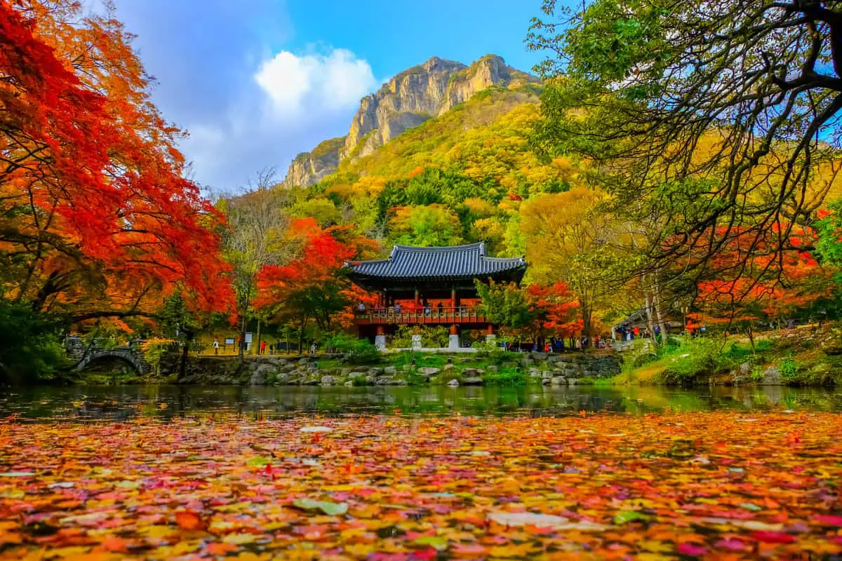 Korea Autumn Festival Archives - IVisitKorea Korea Autumn Festival Archives - IVisitKorea