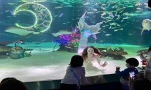 Things To Do in 63 Square - 63 Building Observatory & Aqua Planet 63 ...