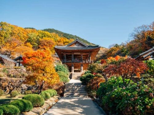 15 Most Beautiful Temples in South Korea You Must Visit - IVisitKorea