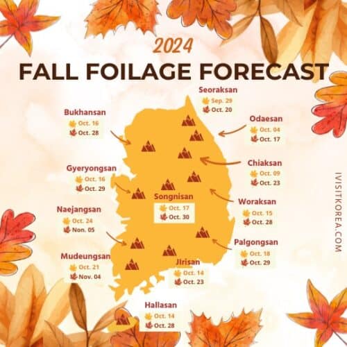 Best 10 Autumn Foliage Places to Visit - IVisitKorea