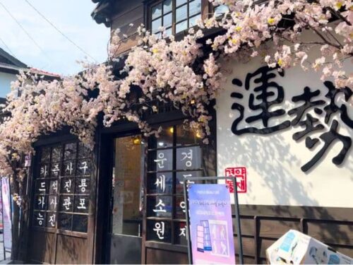 Top Activities and Must-Visit Spots in Pohang - IVisitKorea