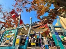 Everland Theme Park Popular Rides & How To Use Smart Queue - IVisitKorea