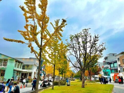 Yeonnam-dong Guide: From How to Get There and Things to Do - IVisitKorea