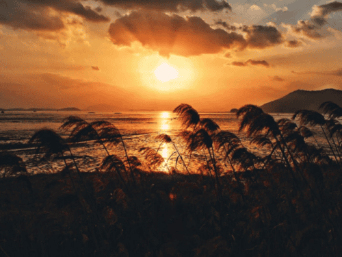 Suncheon Travel Guide: What To Do & How To Get There - IVisitKorea