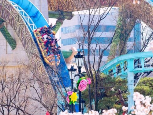 Lotte World Seoul 롯데월드: Popular Rides & Magic Pass - IVisitKorea