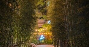 Exploring Garosugil 가로수길: Sinsadong's Fashionable Gem - IVisitKorea