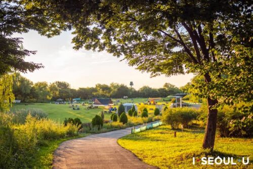 Haneul Park 하늘공원: Seoul's Hidden Gem for Nature Lovers - IVisitKorea