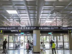 Jeju Airport Transfer Guide: From Public Transportation to Car Rental ...