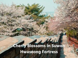 Suwon Hwaseong Fortress - IVisitKorea